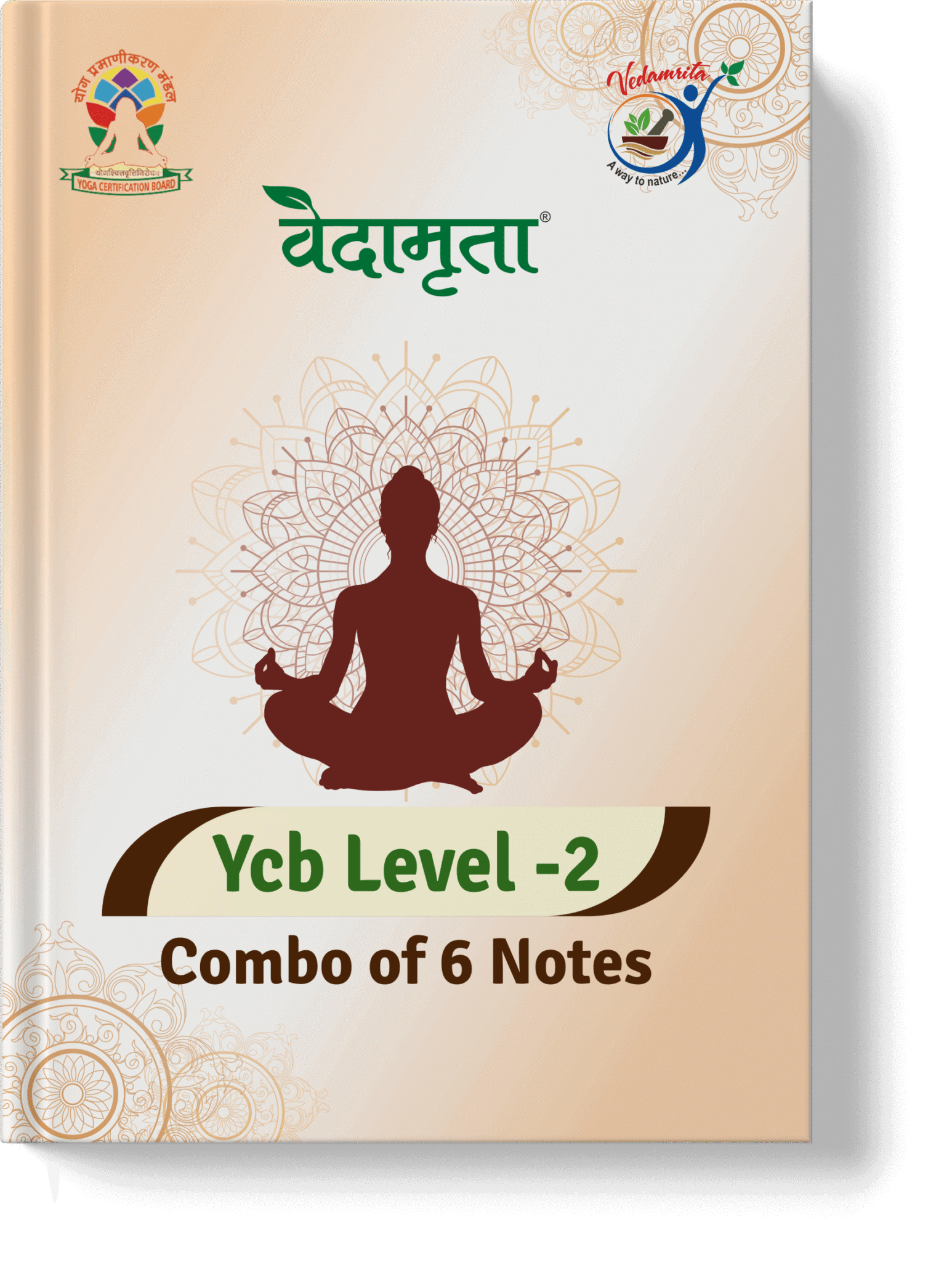 Yoga Notes (E-Books) - Vedamrita