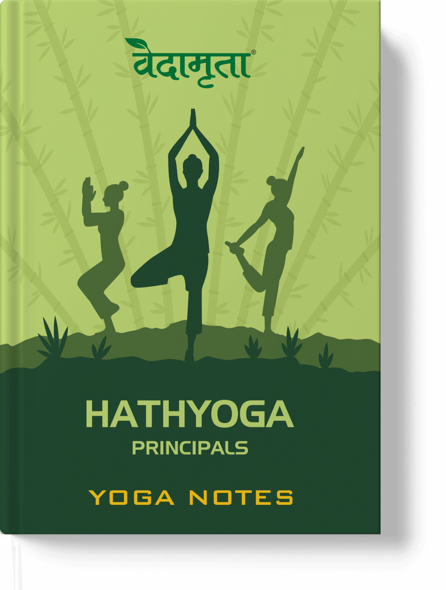 Yoga Notes – Vedamrita